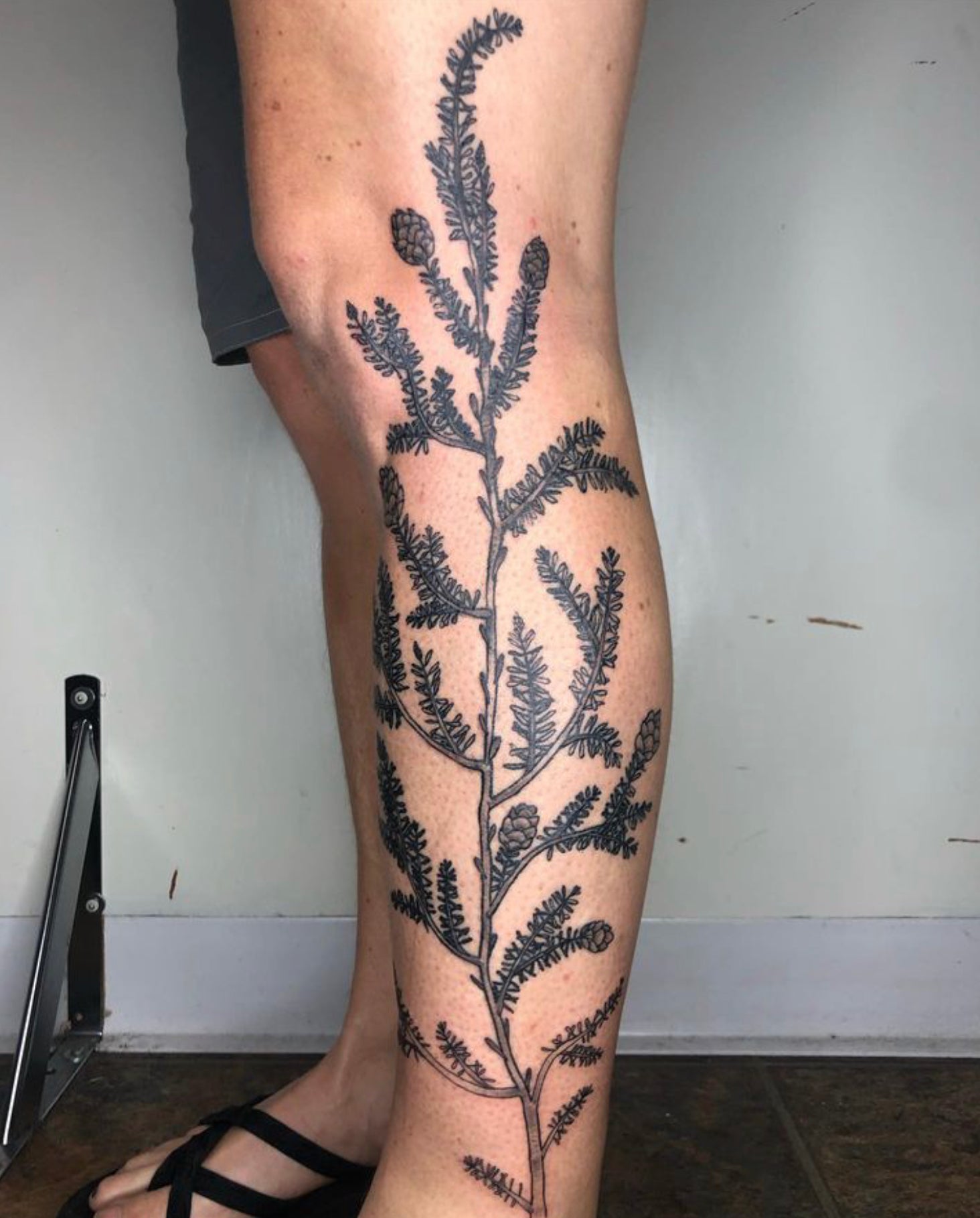 Juniper Branch Tattoo